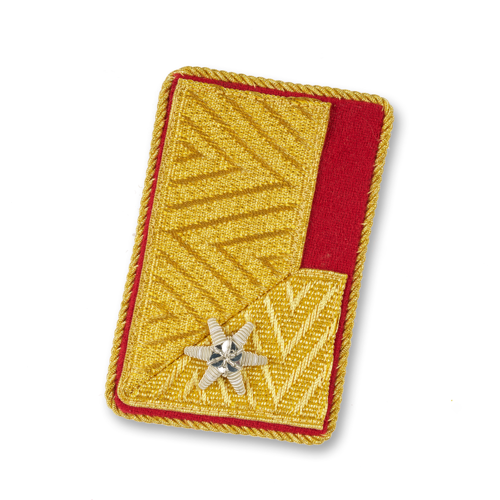 Gorget patch ABI with gold cord (OÖ+Bgld.)