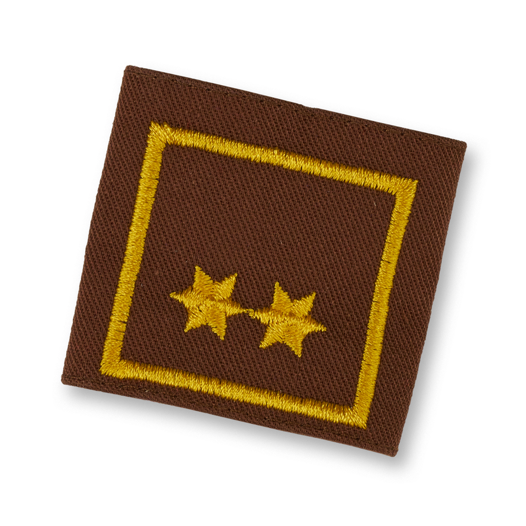 Uniform epaulets OBI brown (STM) OBI d. Fachdienst (OÖ)